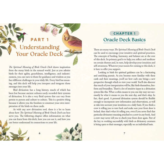 Spiritual Meaning of Birds Oracle Deck – Seagrape Apothecary