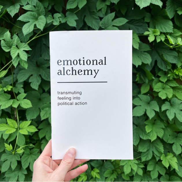 Emotional Alchemy: Transmuting Feeling Into Political Action – Seagrape ...