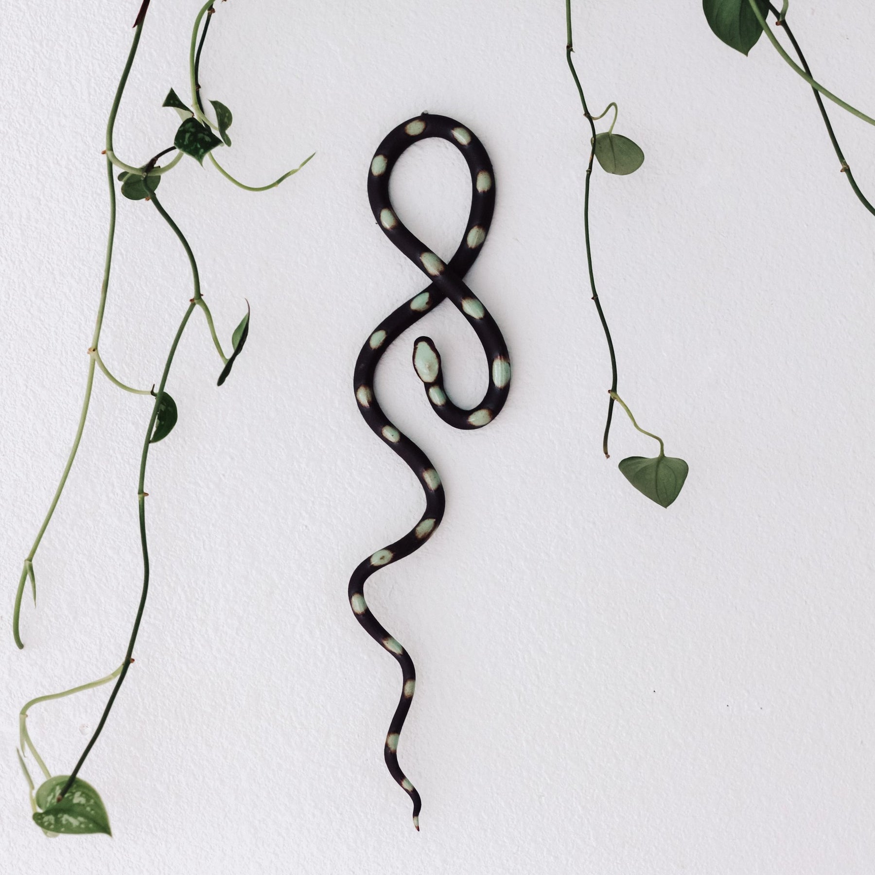 Ceramic Wall Snakes – Seagrape Apothecary